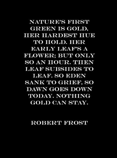 85 Nature quotes that'll inspire to love and value its beauty