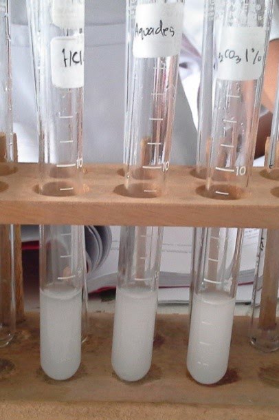 Praktikum Biokimia (Pengaruh pH Terhadap Aktivitas Enzim)