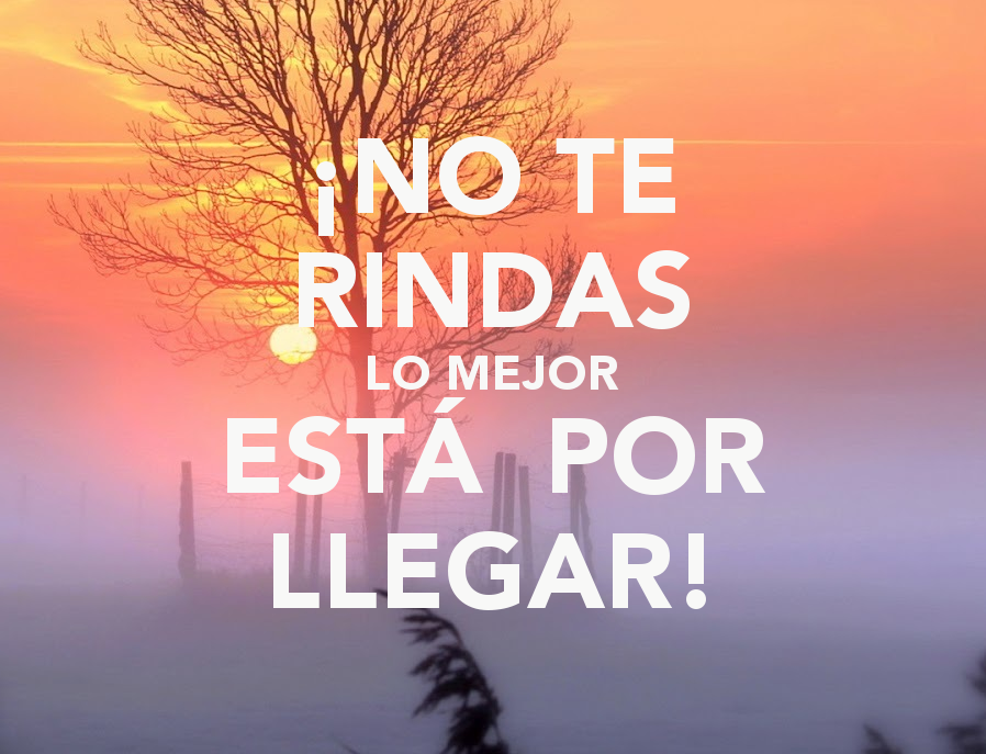 Reflexiones: NO TE RINDAS
