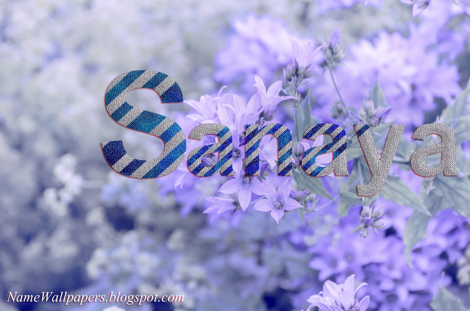 Sanaya Name Wallpapers Sanaya ~ Name Wallpaper Urdu Name Meaning Name ...