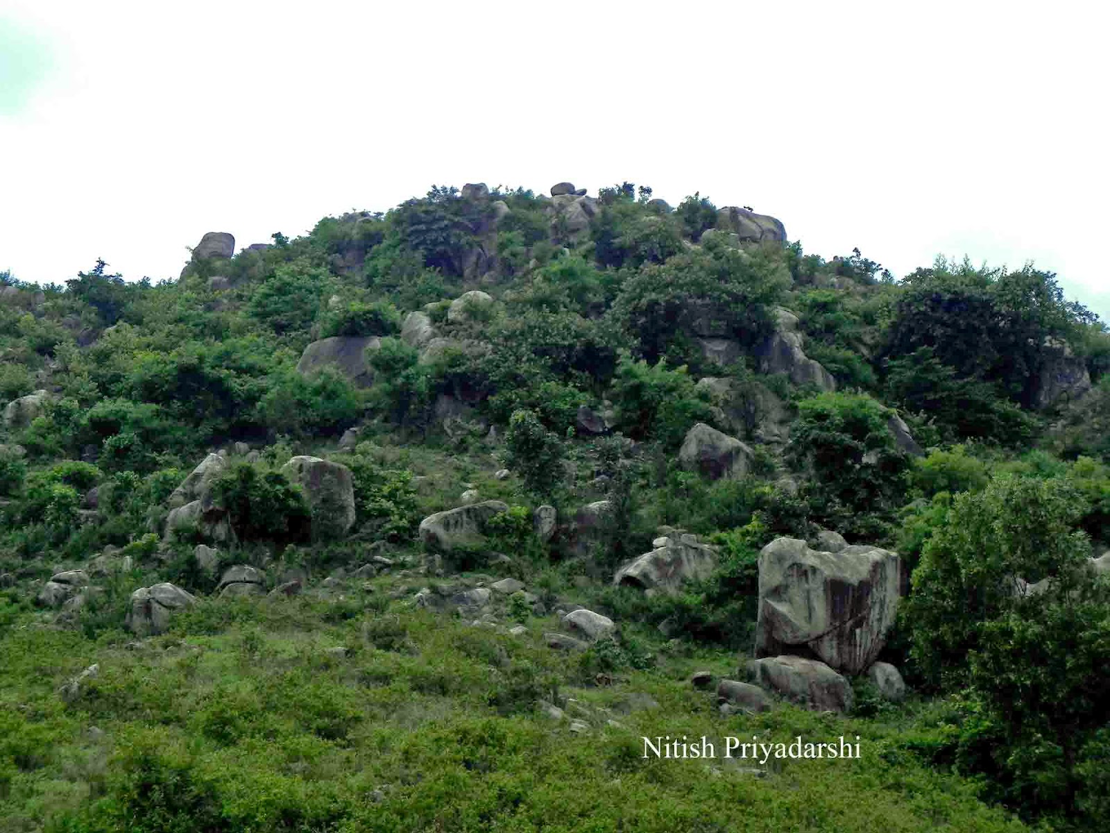Environment and Geology: Geology of Pithoria hills near Ranchi city, India.