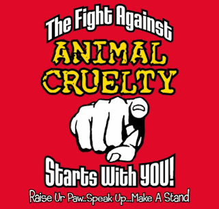 RAISE UR PAW NEWS: A STAND AGAINST CRUELTY - AN EMPOWERING MESSAGE