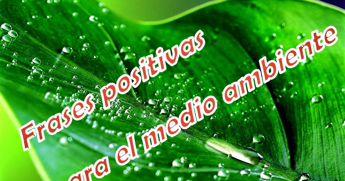 8 frases positivas para el medio ambiente - Clima, Medio Ambiente y ...