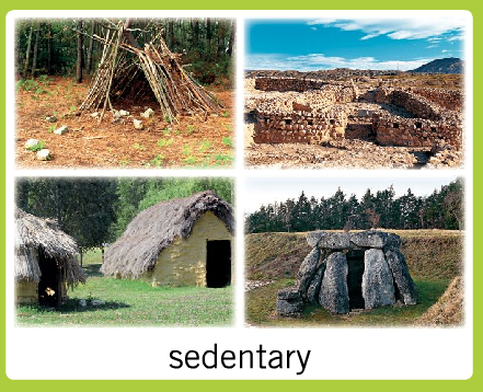 Mi primer año en Red XXI: PREHISTORY (Unit 11 -Science Y6)