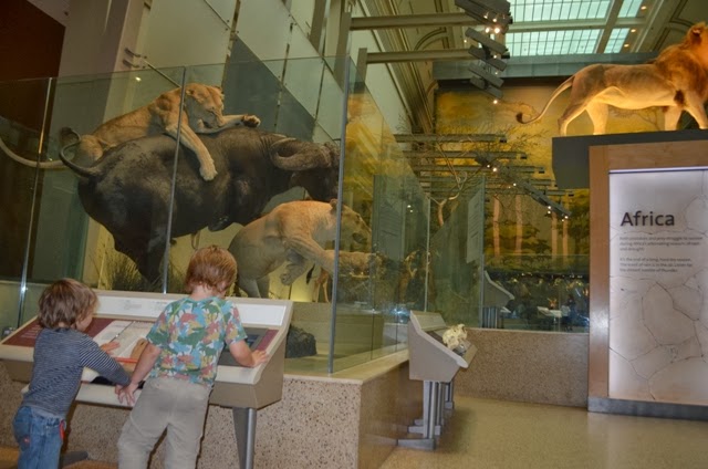 Bessie and the Larsens: Homo Erectus and Friends