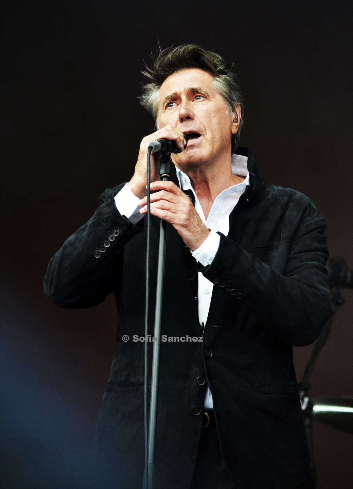 News from Europe and Latin America: Bryan Ferry had a fantastic concert ...