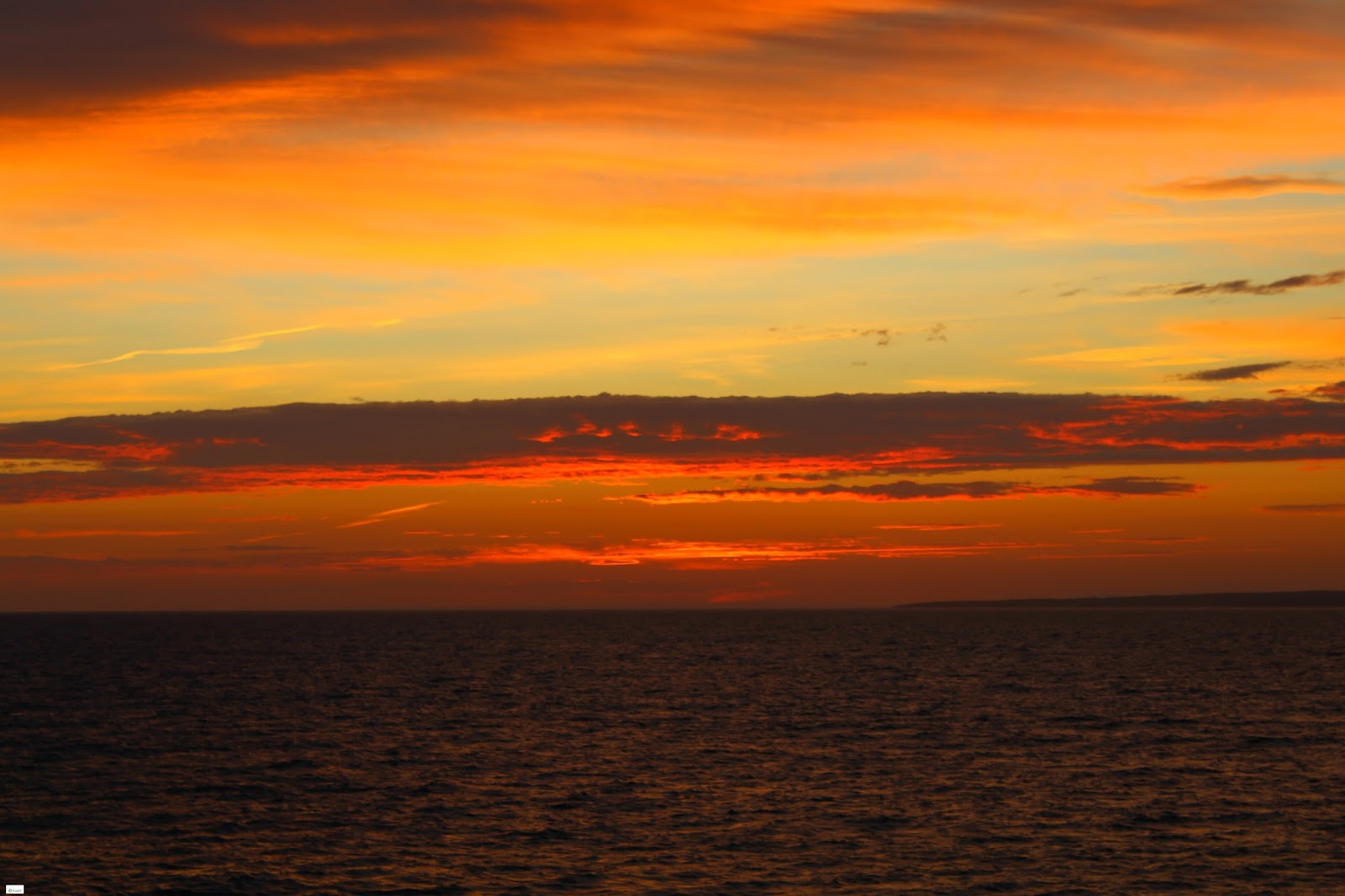 Sunrise CAT Ferry Ride from Prince Edward Island to Nova Scotia ...