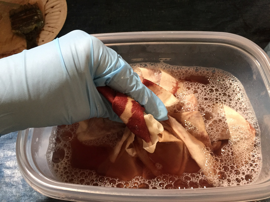 Instructions: Using SolarFast Dyes