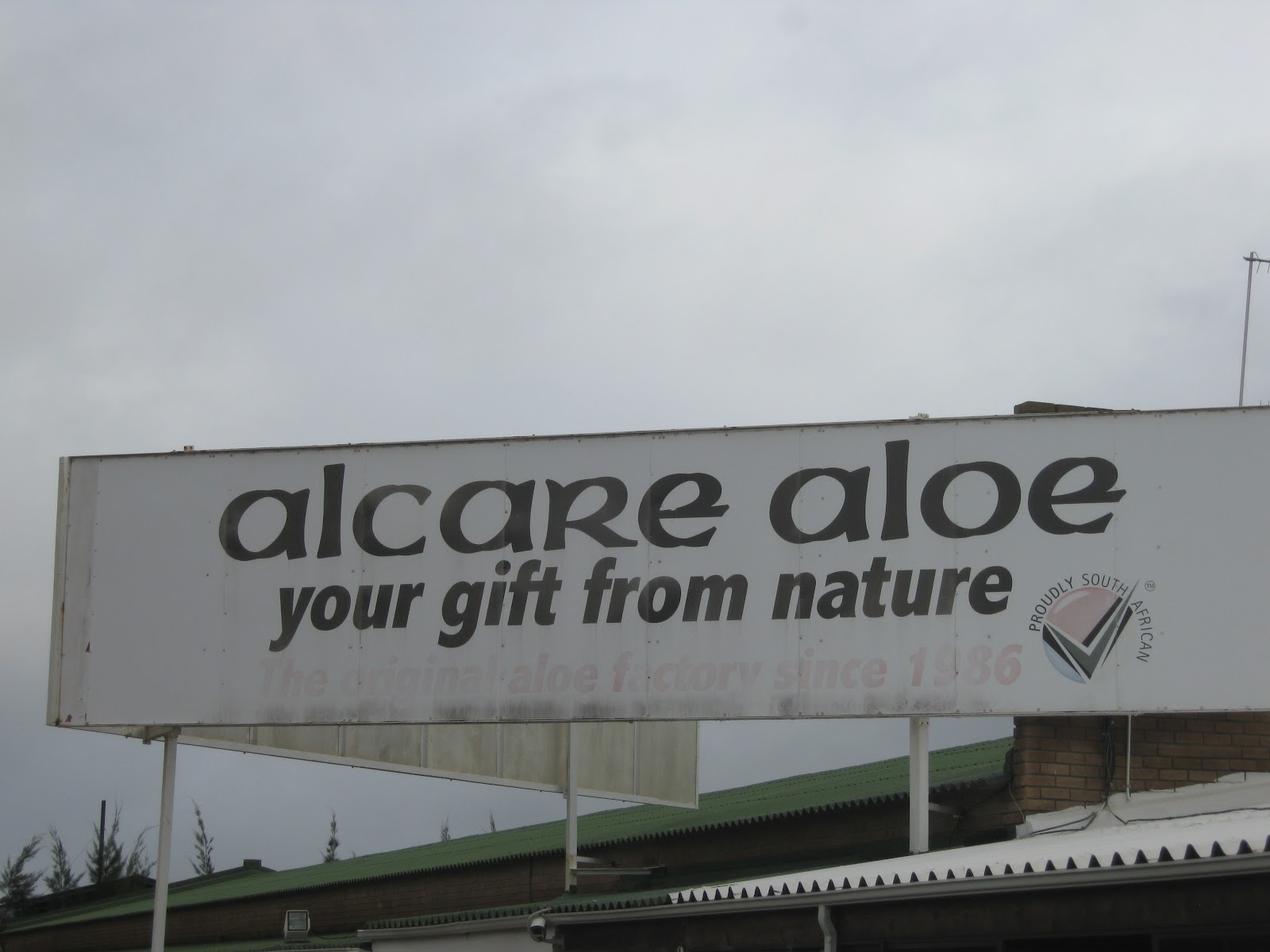 RHS-SA-2012: Day Fourteen: Aloe Ferox Shop, V&A Waterfront - Cape Town