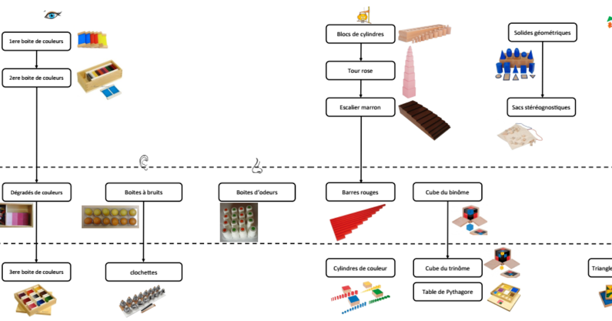 La classe de Gnegnette: progression vie sensorielle