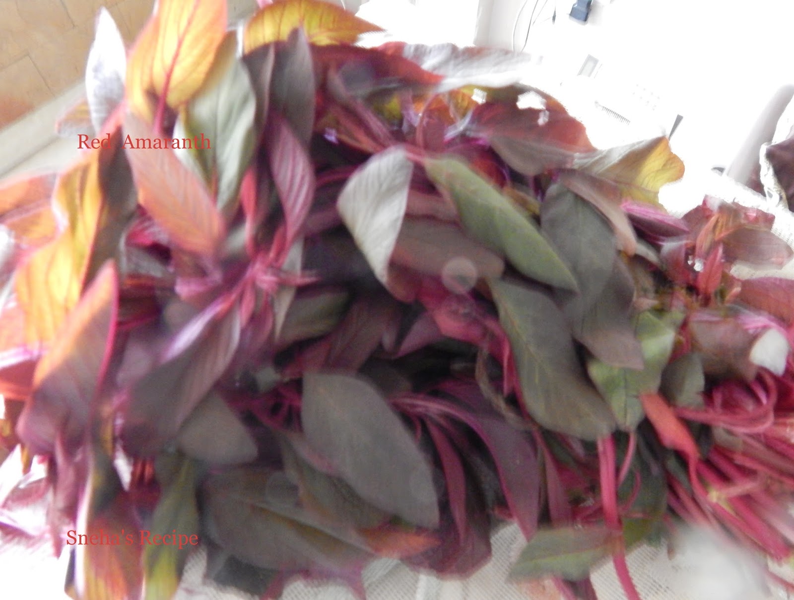 Red and Green Math (Lal & Hirwa Math)/Amarnath - Sneha's Recipe