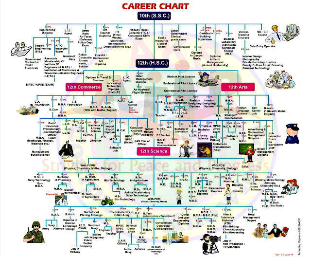 career chart