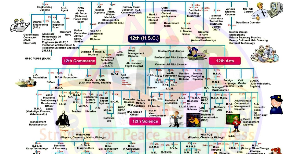 career chart