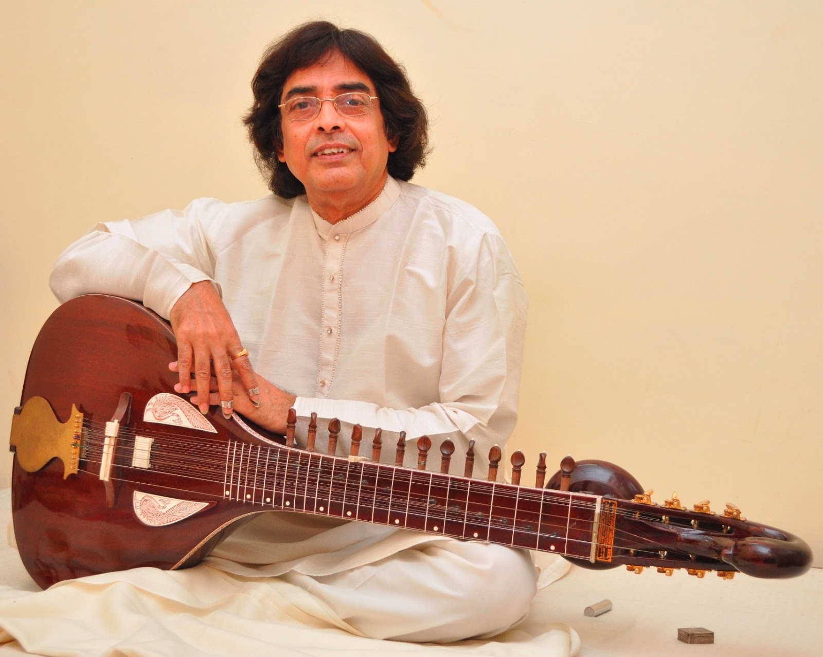 Concerts at Meherabode: 2013