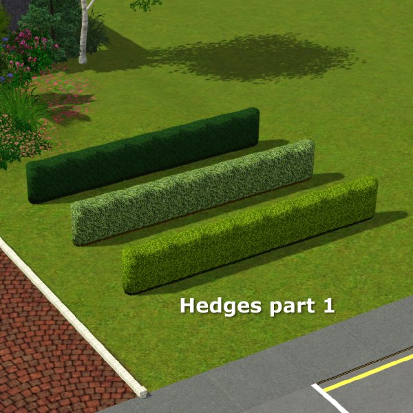 Simming in Magnificent Style: Hedges part 1