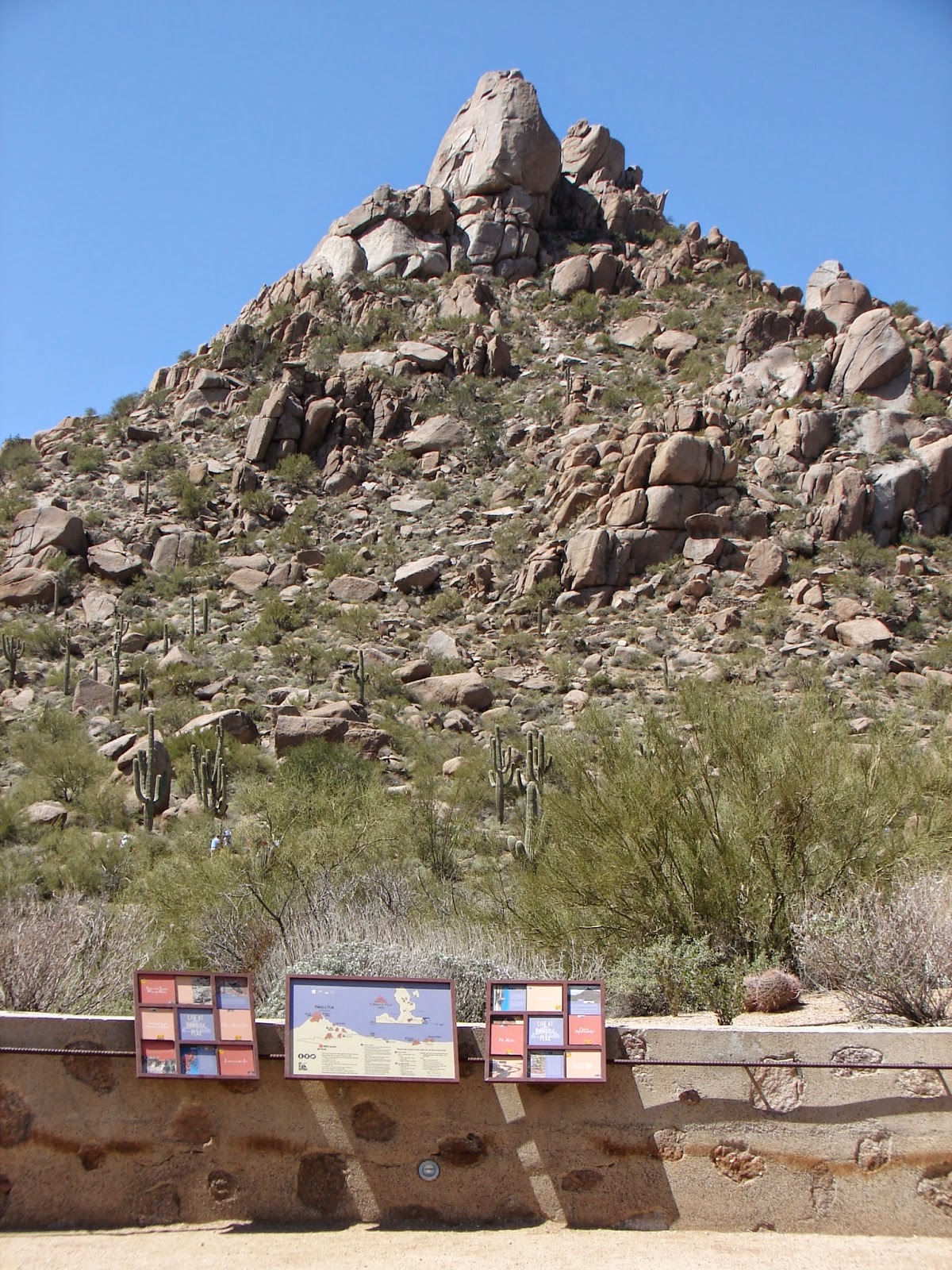 Finding Arizona: Pinnacle Peak Park