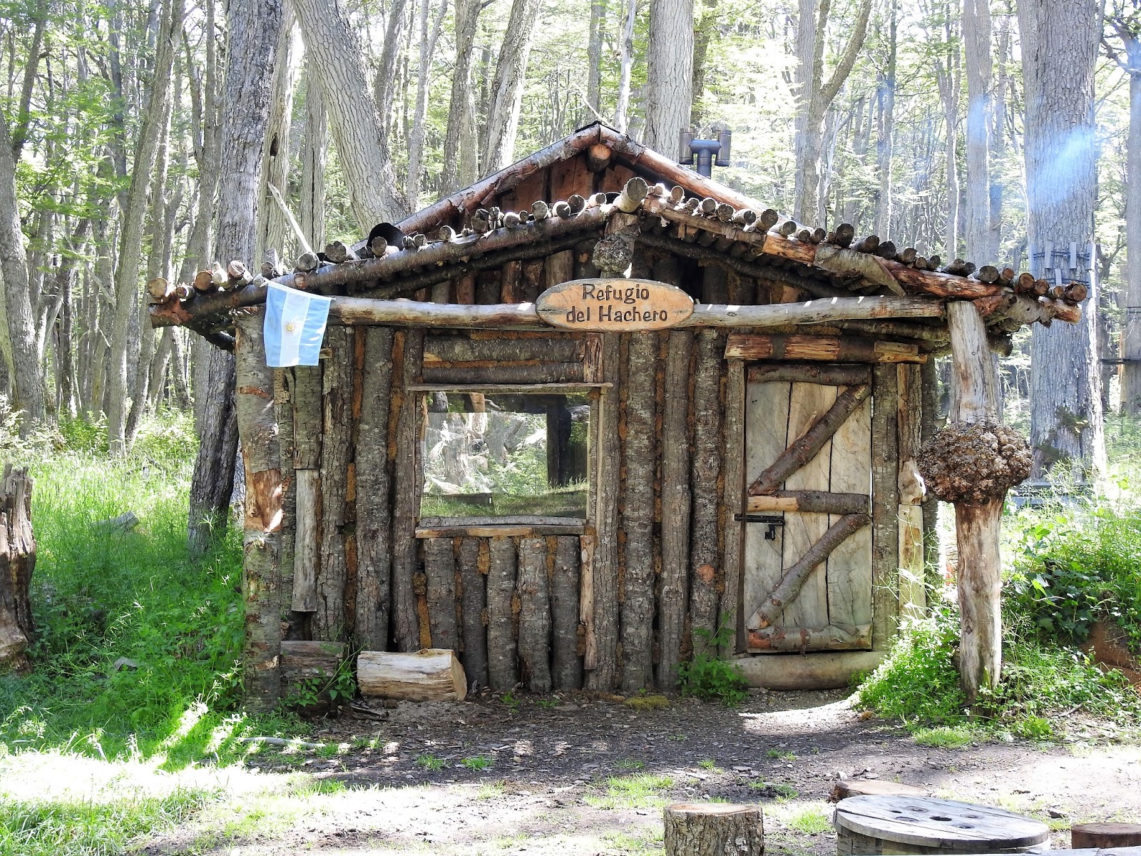 My Travel Blog: 4x4 Road Safari: The Lumberjack Trail in Ushuaia, Argentina