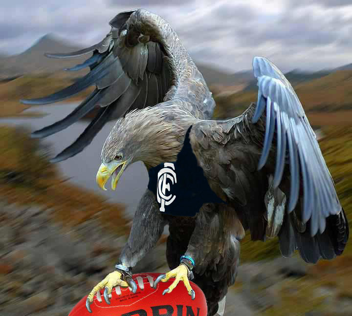 World Boat: The blue eagles have landed!