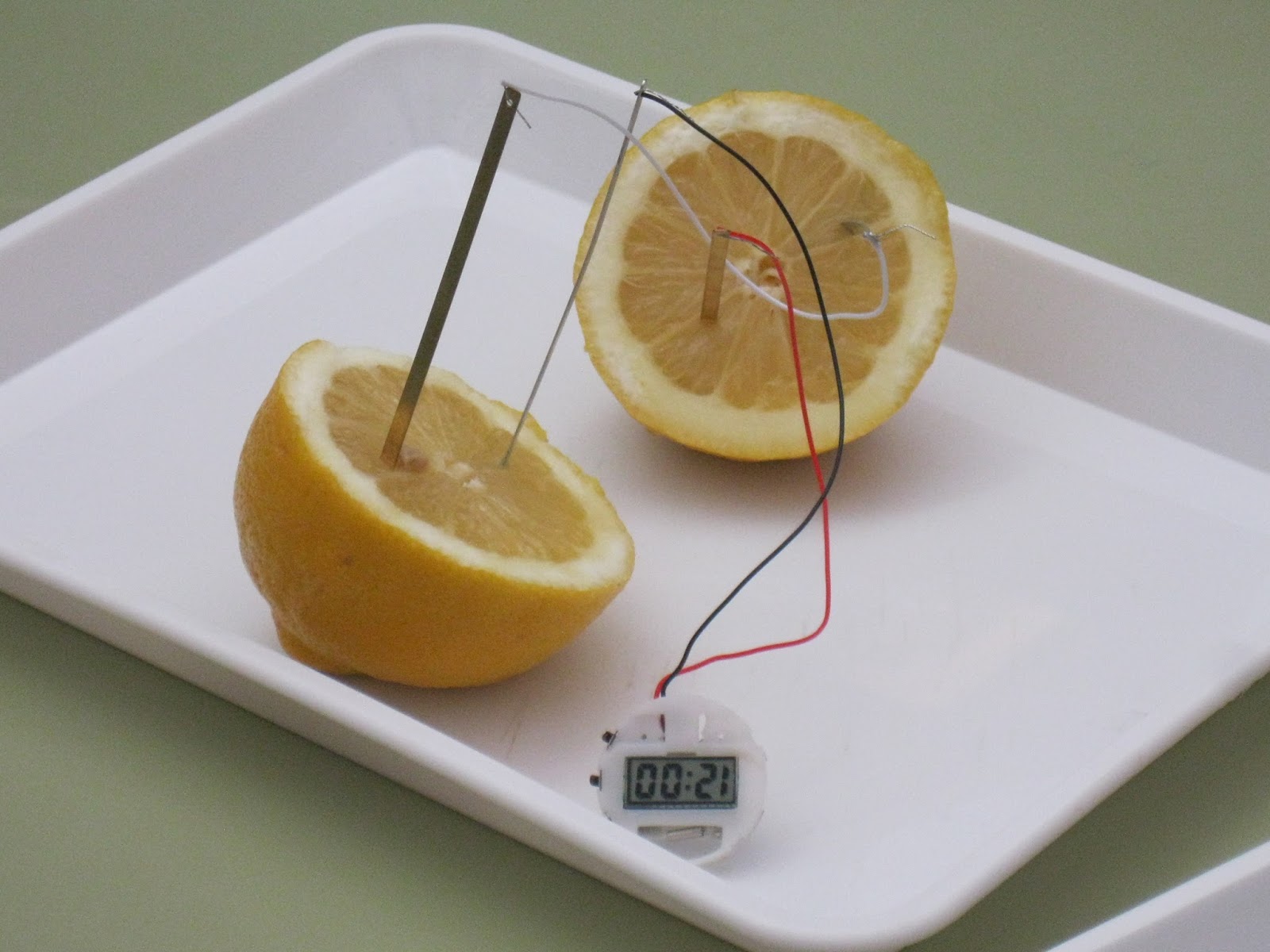 Ignasi Peraire Science Blog: Lemon batteries (6th Grade)