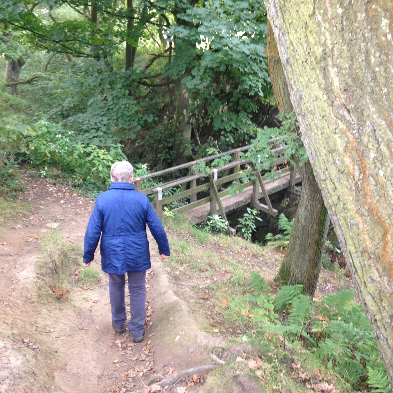 Maghull Meanders: Ashurst Beacon Loop