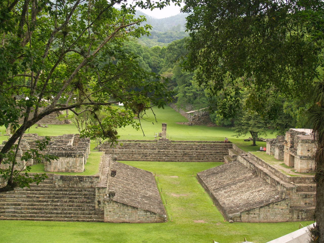Brassavola Digbyana: Departamento de Copán