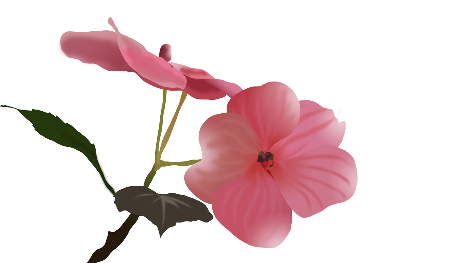Sylvie's Mysterious Utopia: This flower is 2D painted by photoshop. I ...