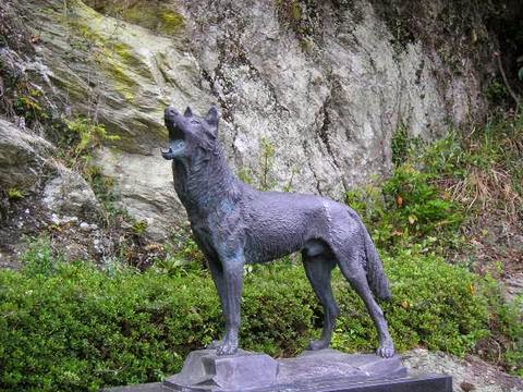 Rick Lamplugh: How to Build a Culture that Respects Wolves