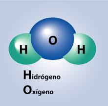 Cuidado del agua: Componentes del agua