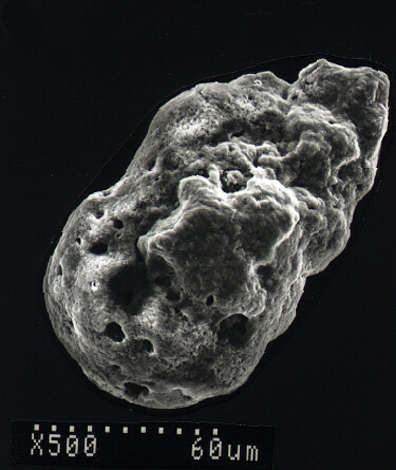 Scientists find fossilised cosmic dust in white cliffs of Dover