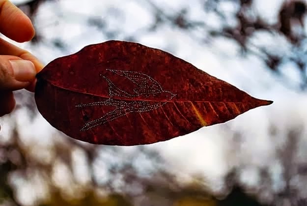 Escuela Secundaria Técnica 85: Formas: regulares o irregulares ...