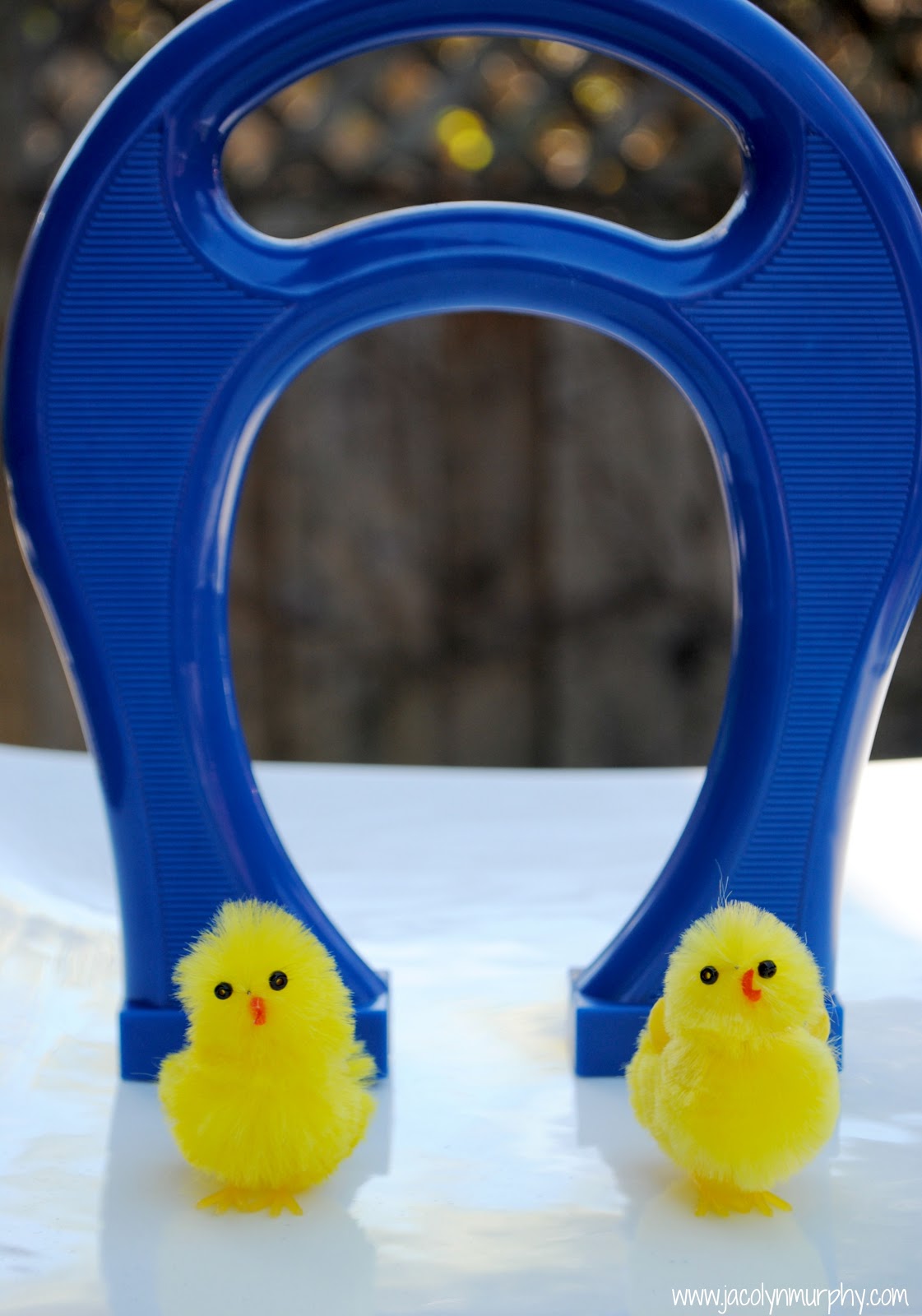 Jac o' lyn Murphy: Easter Chicks that are so "Attractive"!