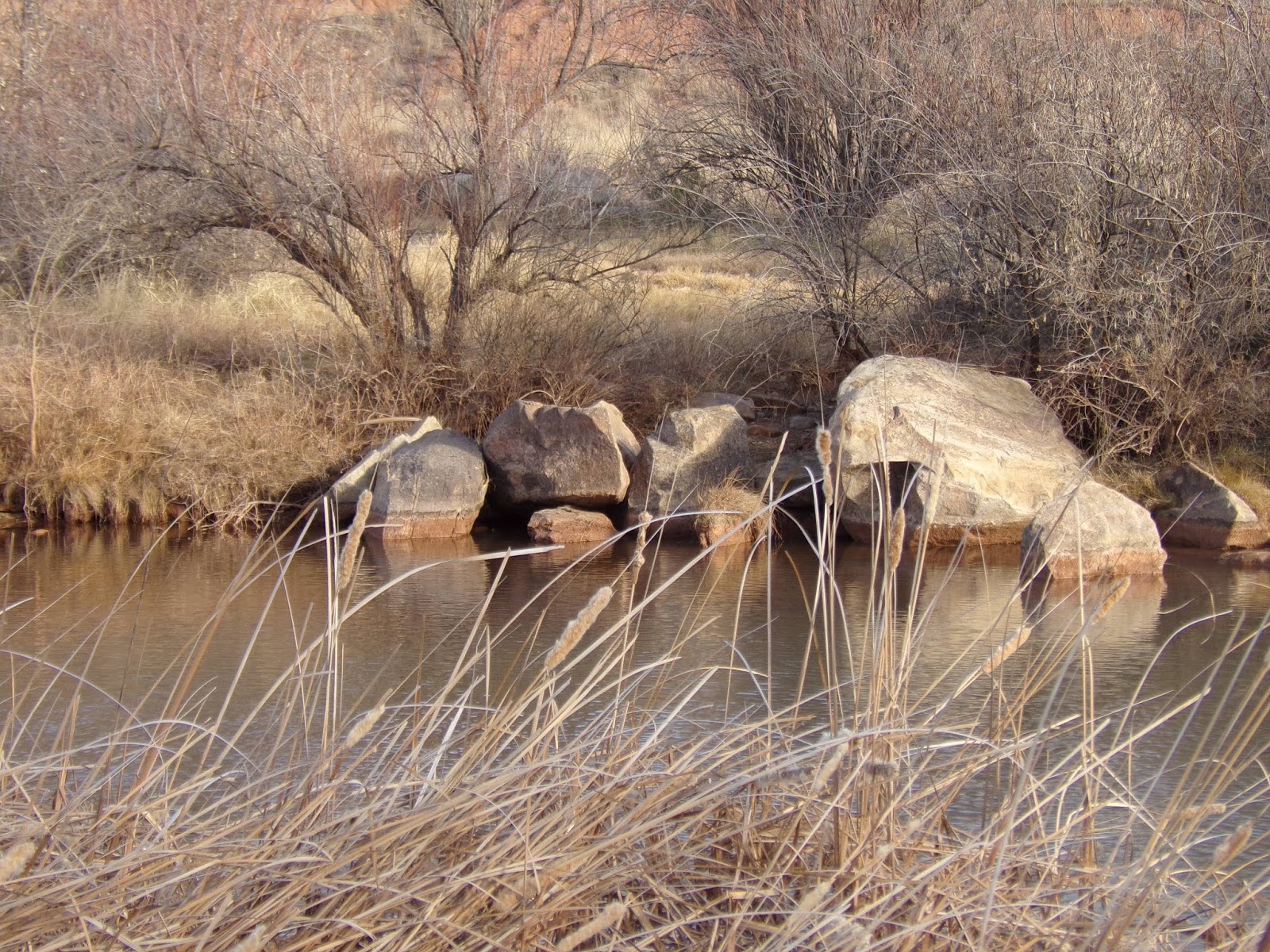 Sumner Lake State Park, Fort Sumner, New Mexico