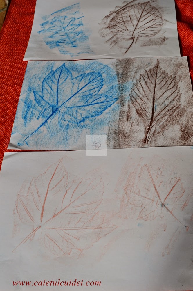 Activitati practice cu frunze: desenam prin hasurare - CAIETUL CU IDEI