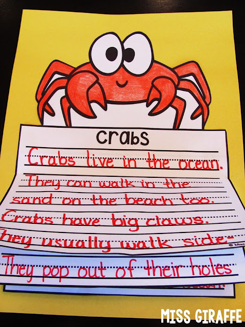 Miss Giraffe's Class: New to Teaching First Grade? Everything You Need ...