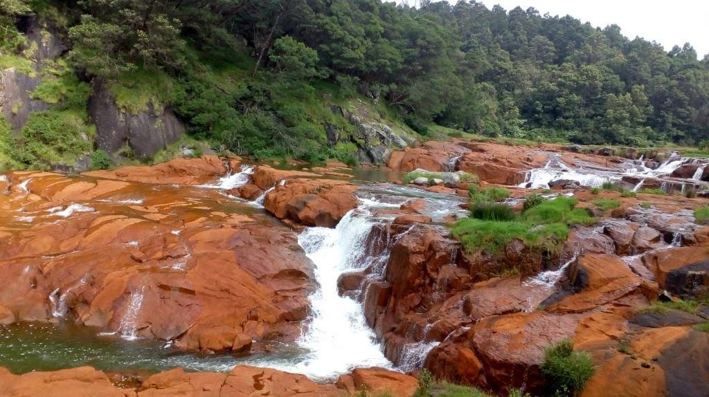 Tamilnadu Tourism: Pykara Dam & Waterfalls, Ooty, Nilgiris