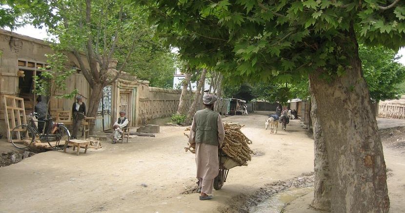 Perspectives: William Astore: AFGHAN WAR UPDATE: FAIL, FAIL AGAIN