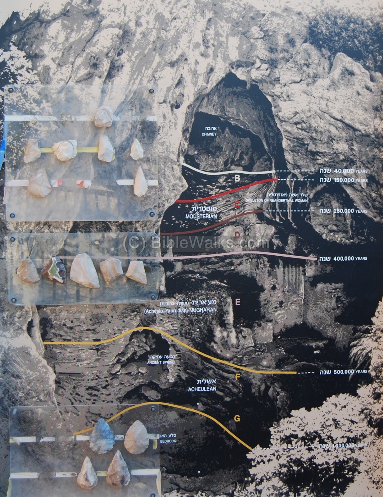 Dirk Drubbel: De weg naar Homo sapiens ( deel 8 : De Homo ...