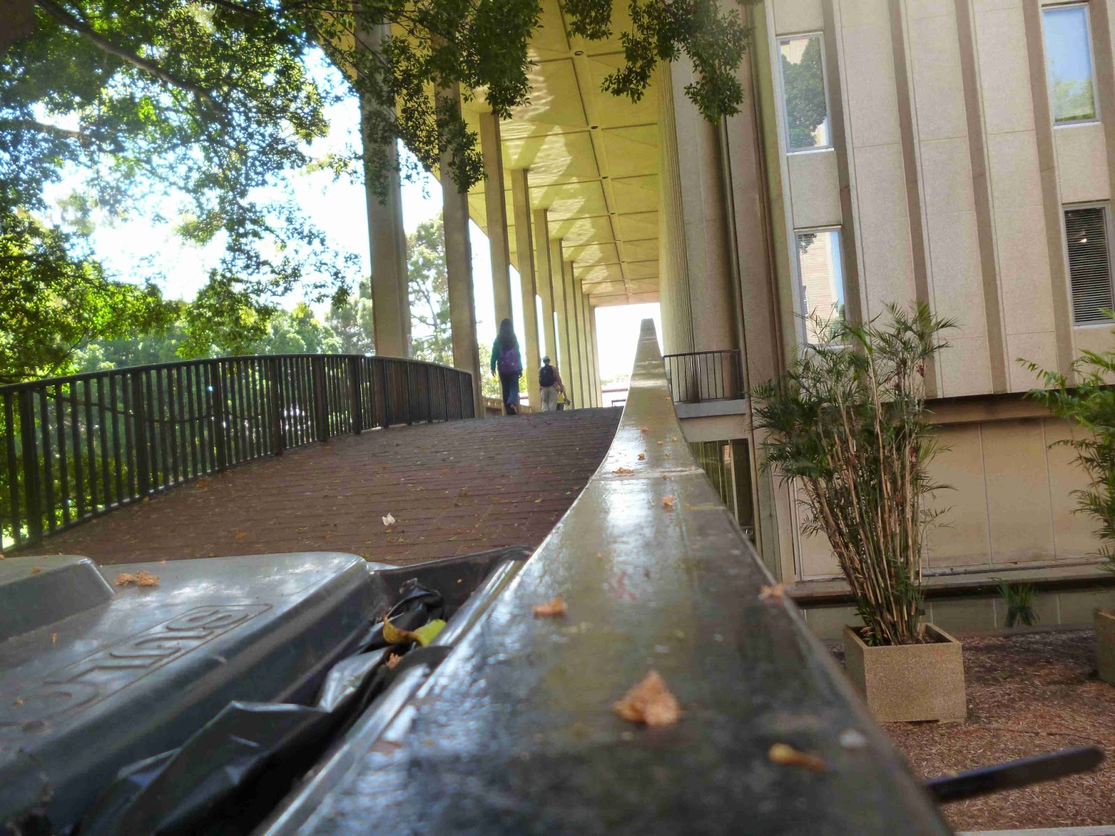 The Early Malay Doctors: Reid Library @ UWA