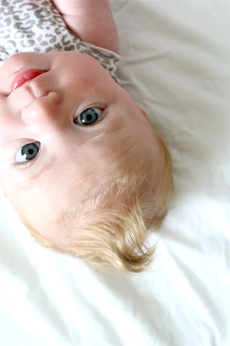 the Pompadour - MADE EVERYDAY