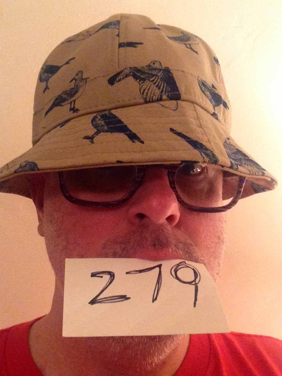 Adam's Riff: Project Cubbins: Hat 279 - Bucket of Gulls Edition