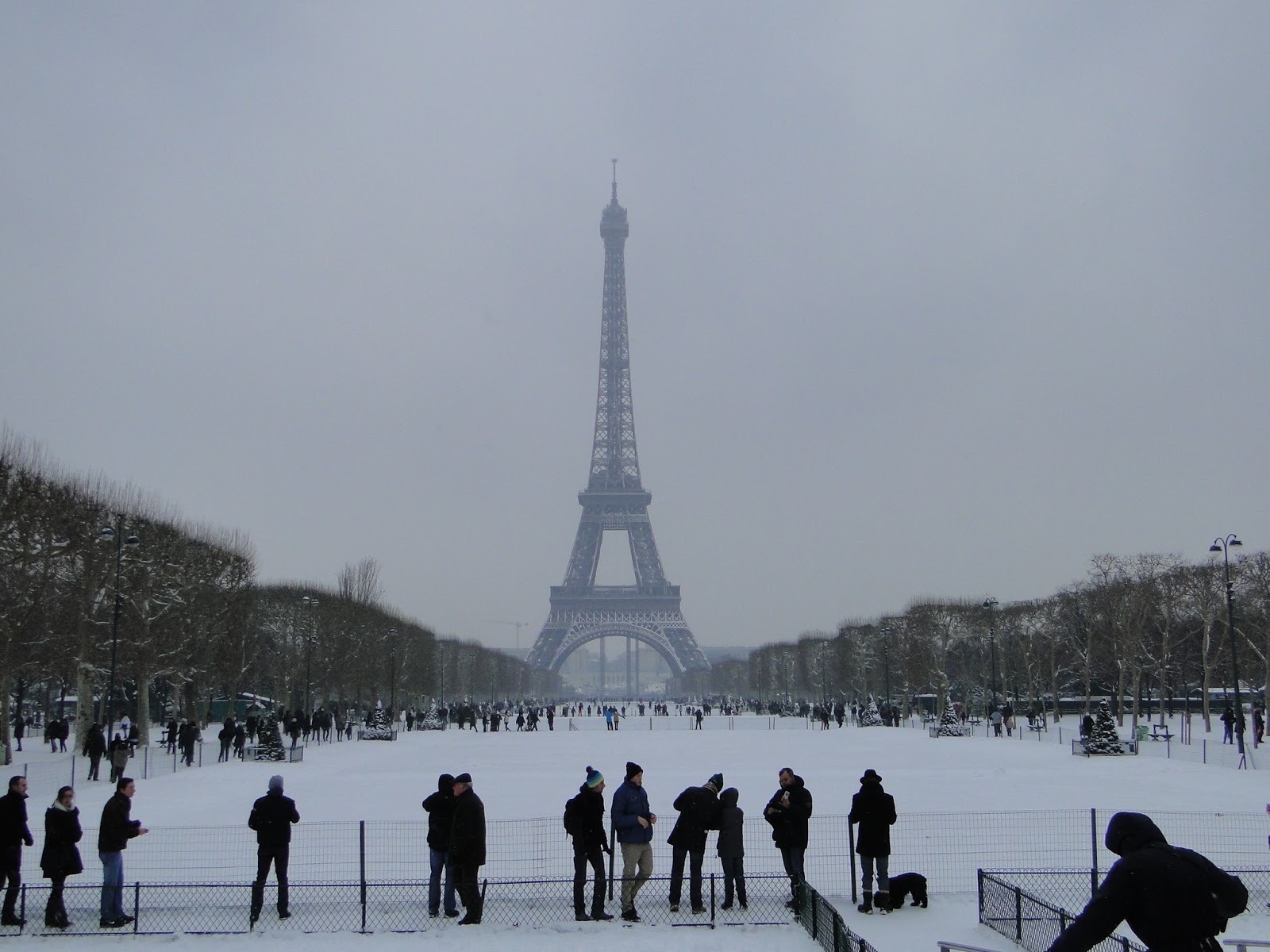 Fernanda vous contemple du haut de la Tour Eiffel: Paris sob a neve