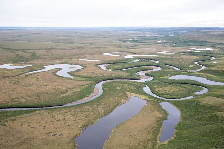 Earth's Internet & Natural Networking: Busy Beavers & Slow Water ...