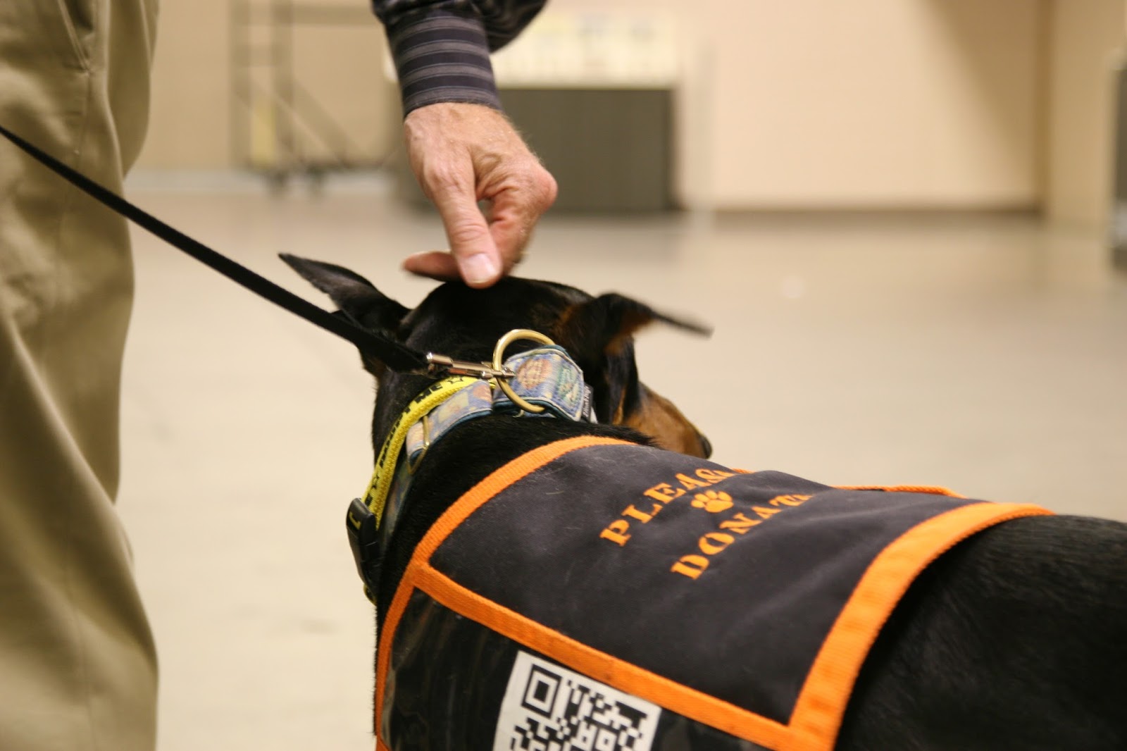 Is that non-profit rescue legitimate??? DRM IS!! Contact Attorney ...