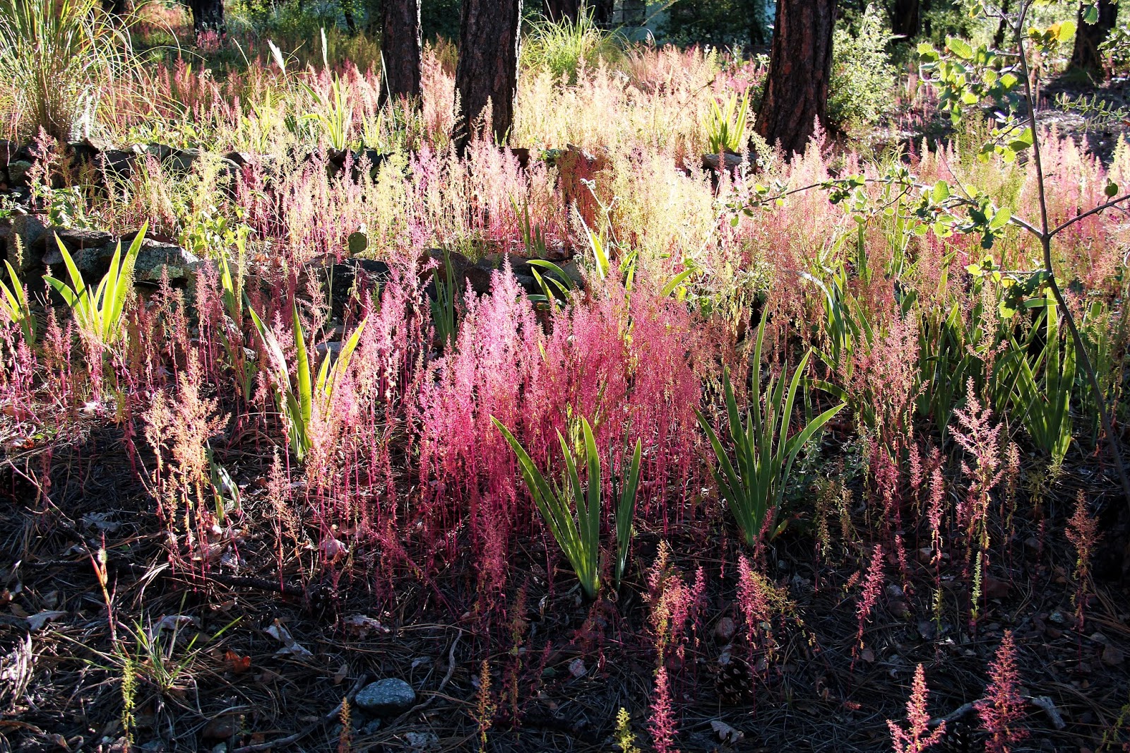 Simplicity Itself Photography: Autumn Photography In Prescott Arizona