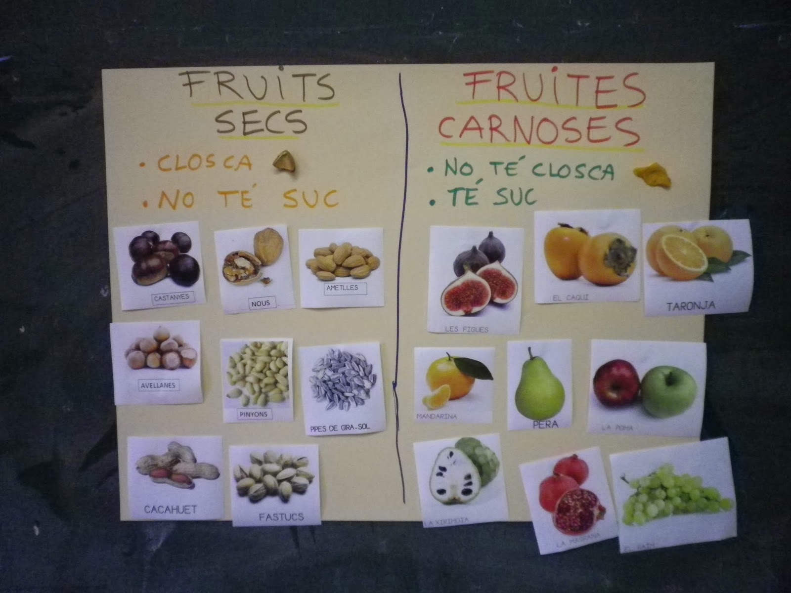 Bloc EE Mare de Déu Montserrat: DIFERENCIEM ELS FRUITS SECS DELS CARNOSOS
