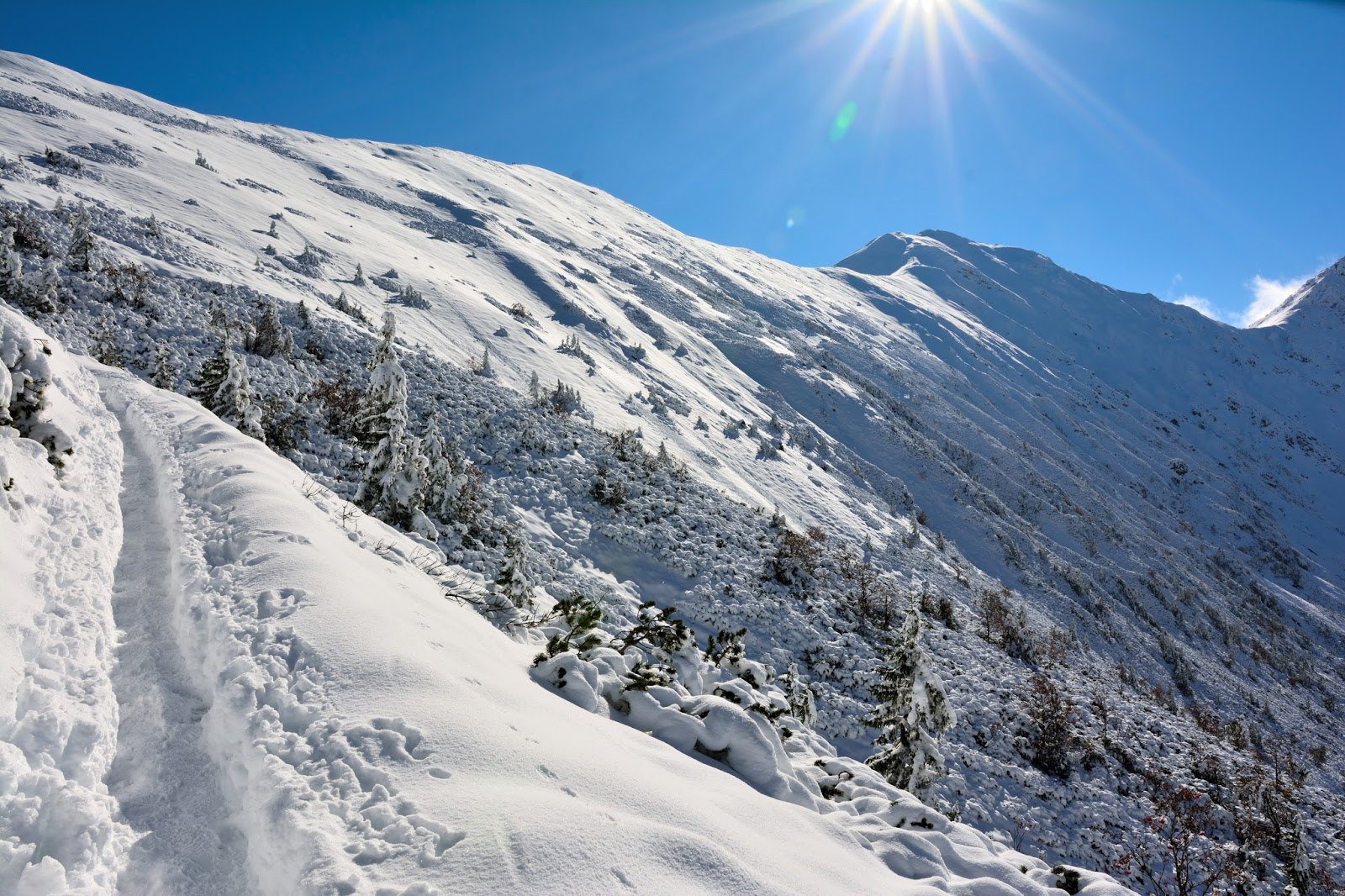 Běžecká terapie: Winterman 2016