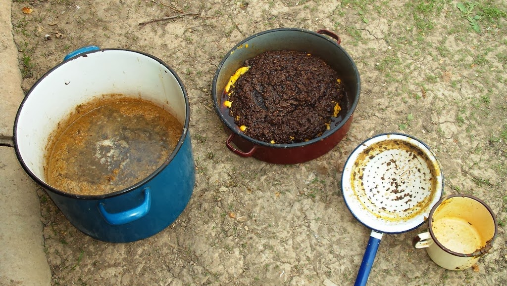 poljeinfors-bih: 2013.11.17 - 2013.11.24