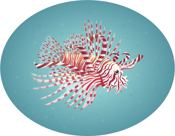 La maison du renard: Rascasse