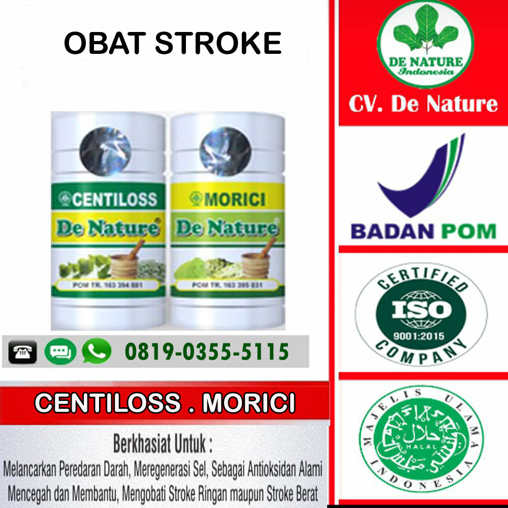Obat stroke paling ampuh dan aman rekomendasi dokter - cara terapi ...