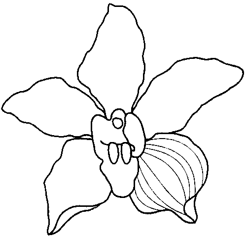 Koleksi Terpopuler 25+ Gambar Bunga Outline